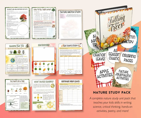 Falling For Trees Nature Study Resource Pack: Autumn Activities For Ki ...