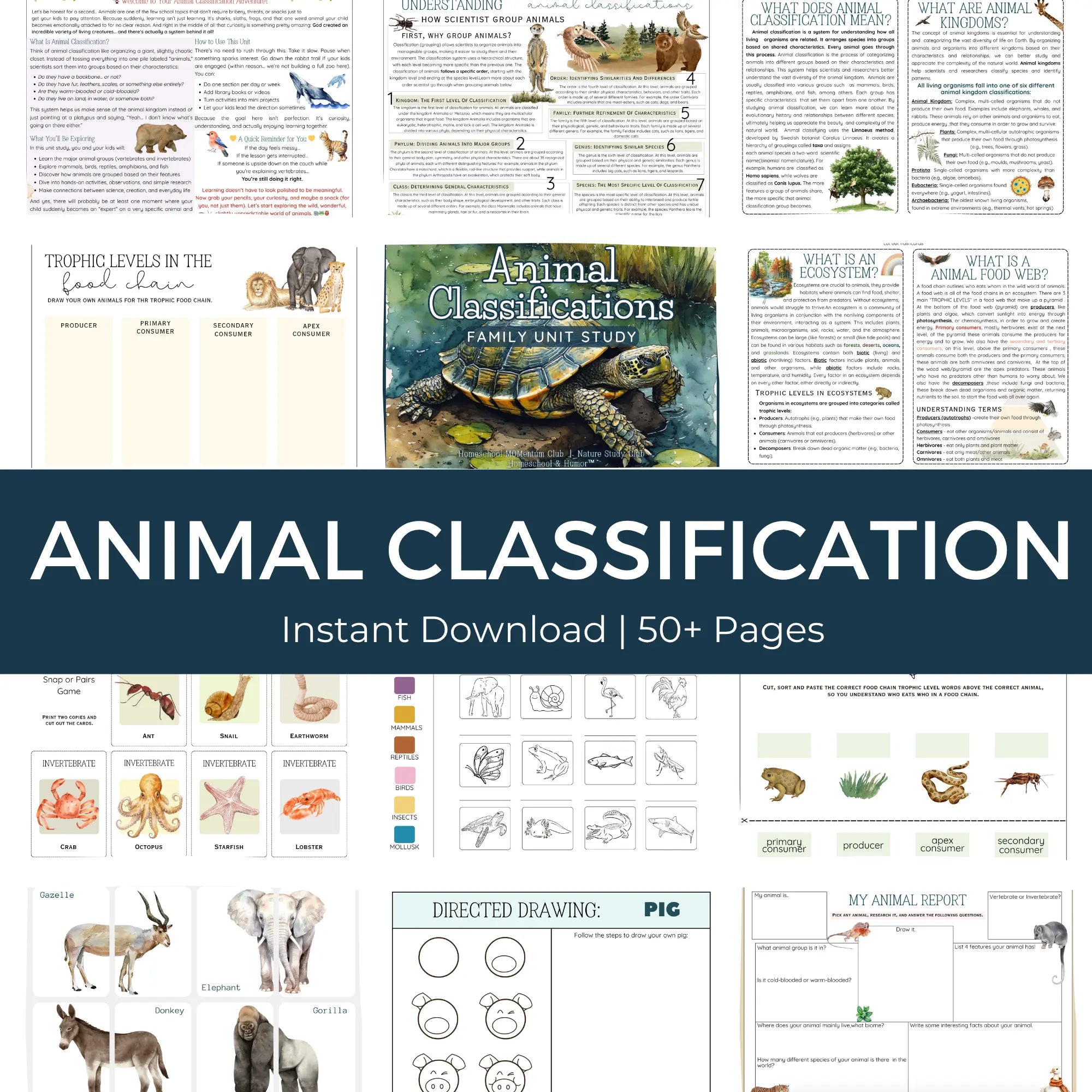 Animal Classification Unit Study | Animal Classification Activities ...